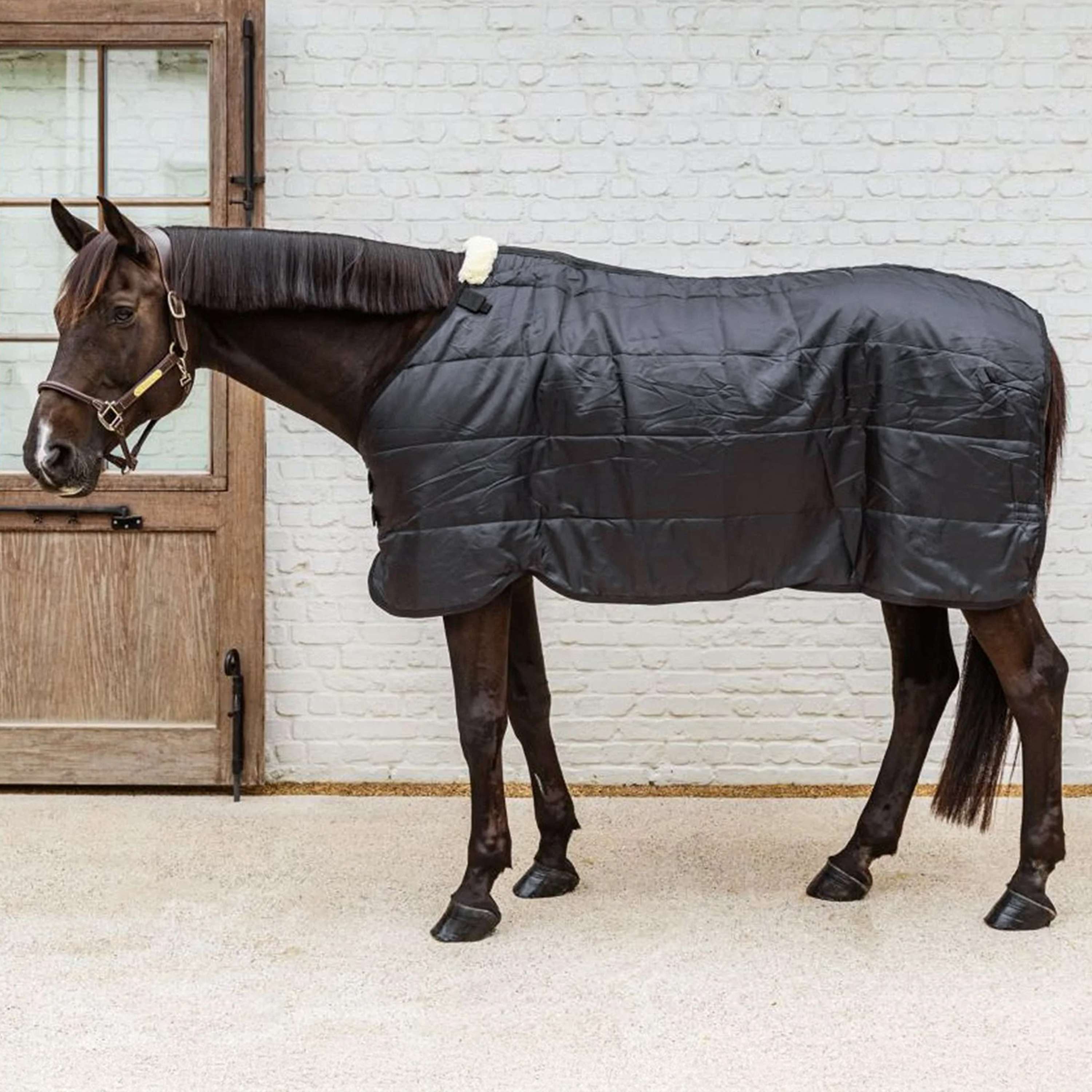 Kentucky Turnout Rug Comfort Liner 100g Black | Agradi.com