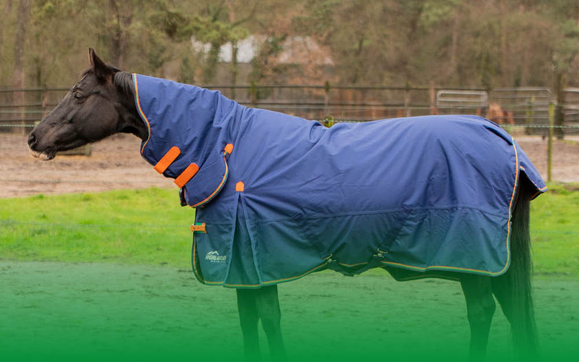 Delivery | Agradi.com