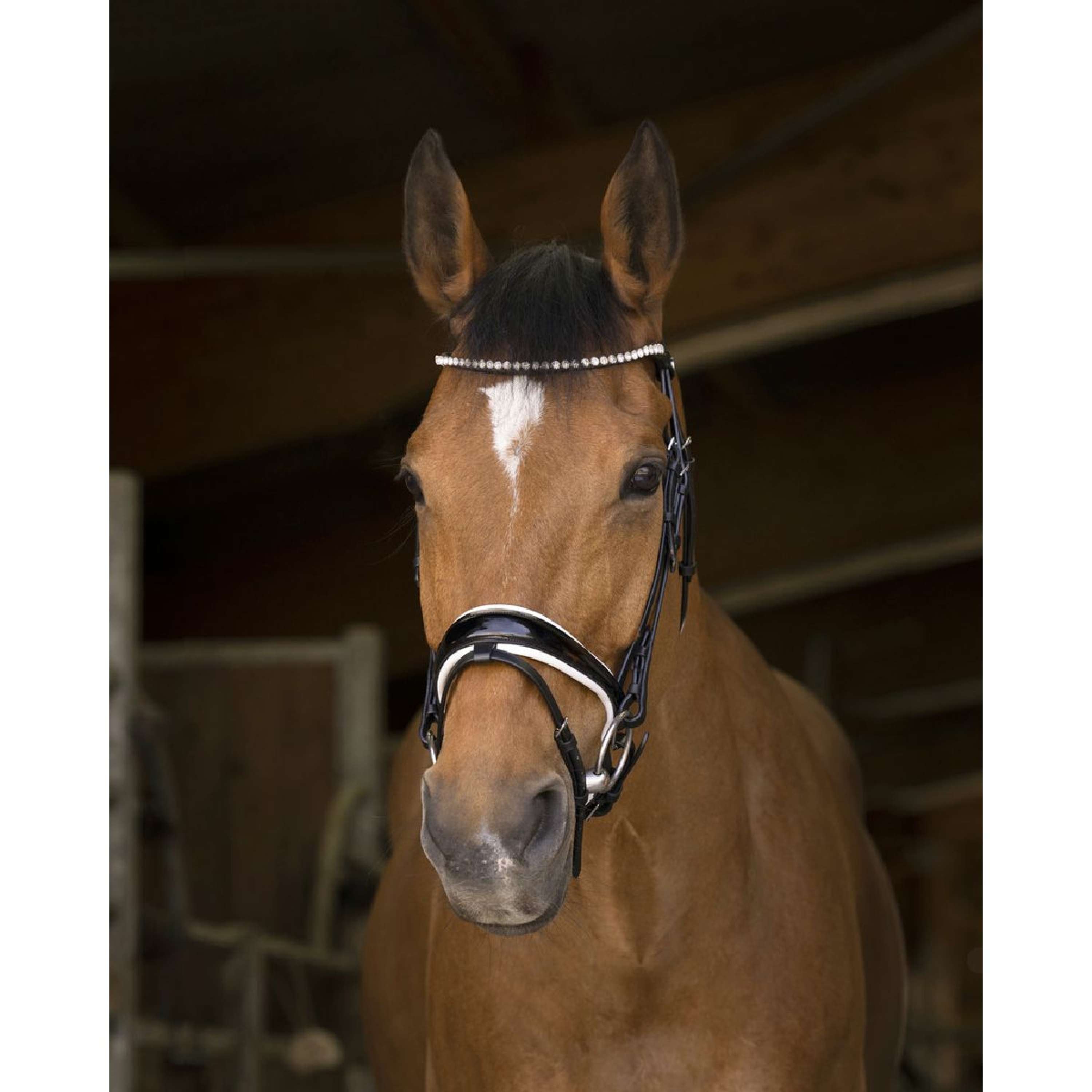 Norton Bridle Pro Bella Black | Agradi.com