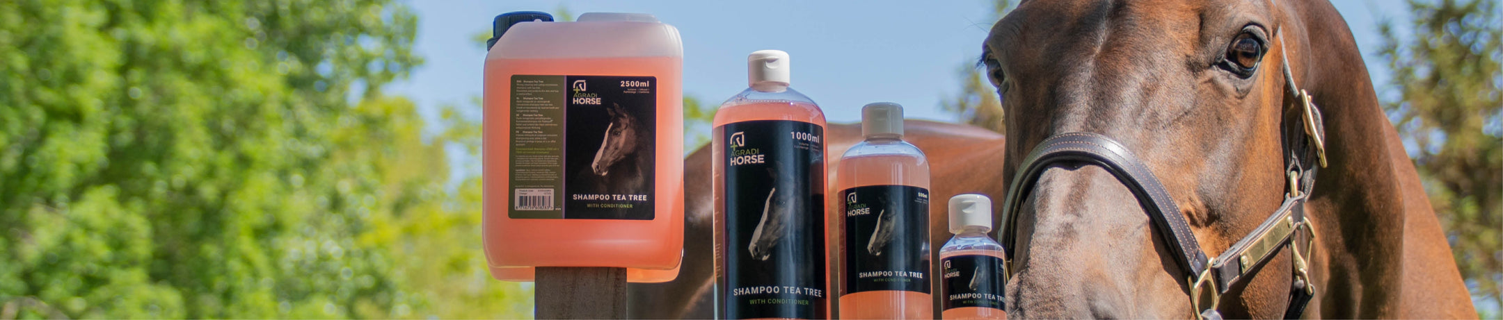 Agradi Horse | Agradi.com