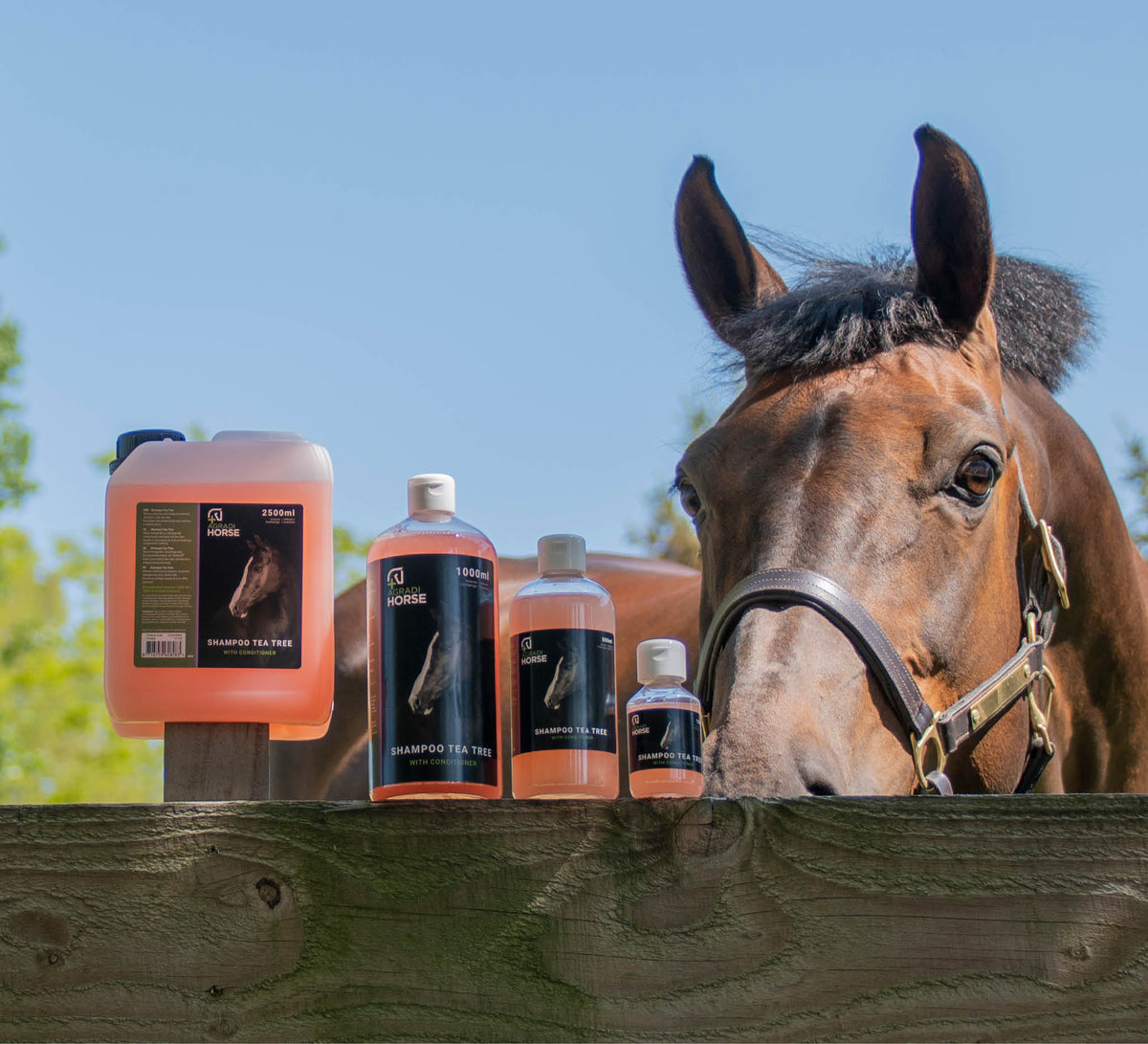 Agradi Horse | Agradi.com