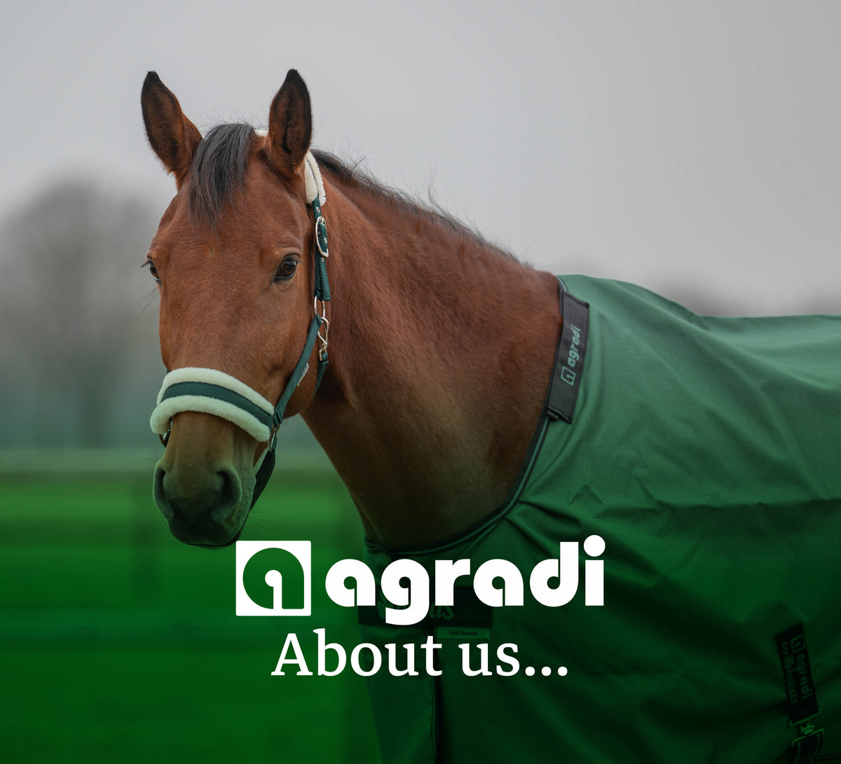 About Agradi | Agradi.com