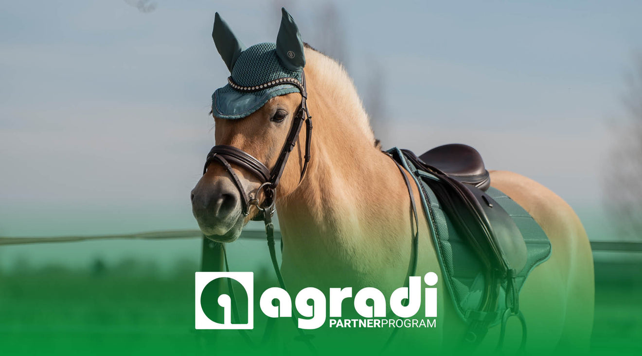 Delivery | Agradi.com