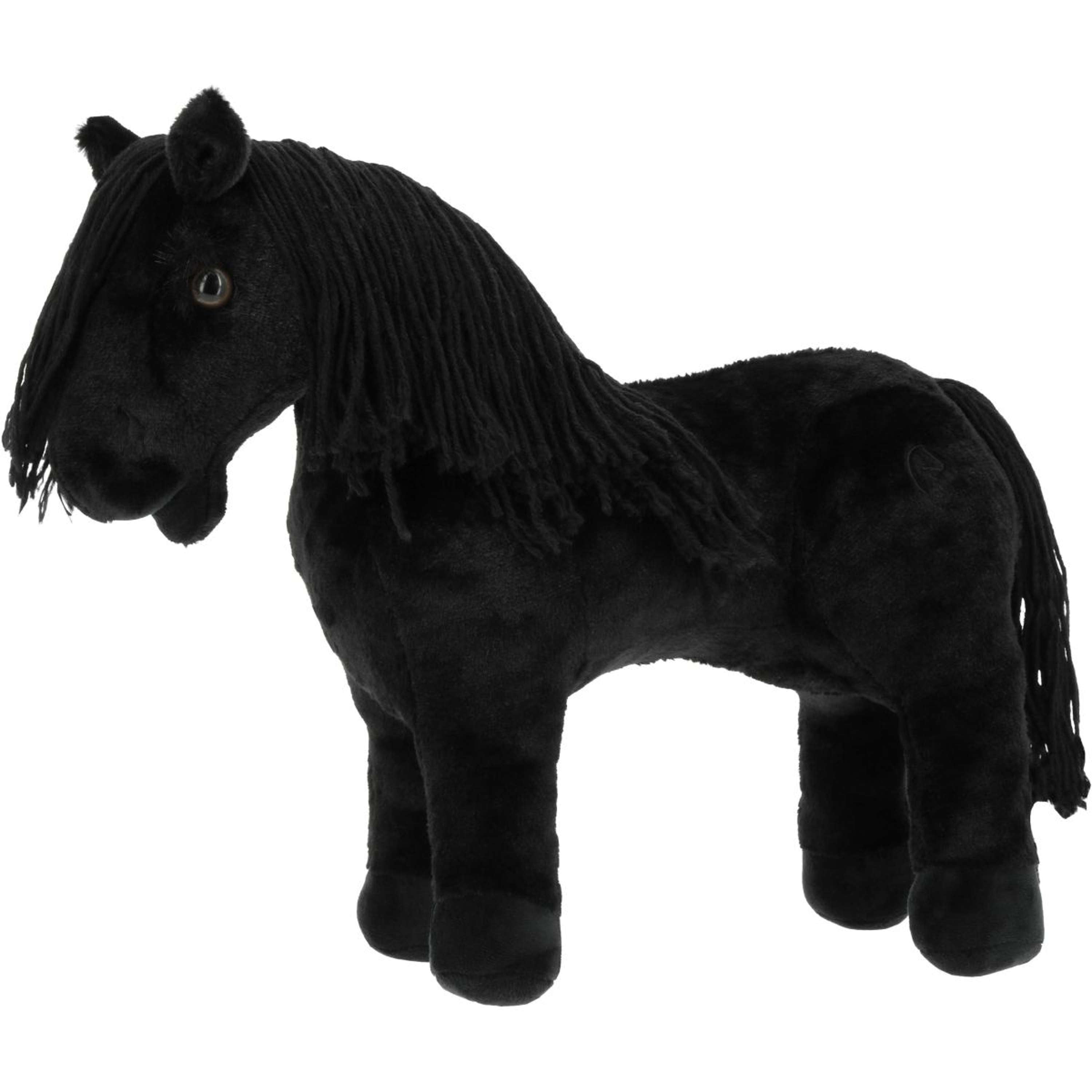 EQUITHÈME Pony Academy Eclair | Agradi.com