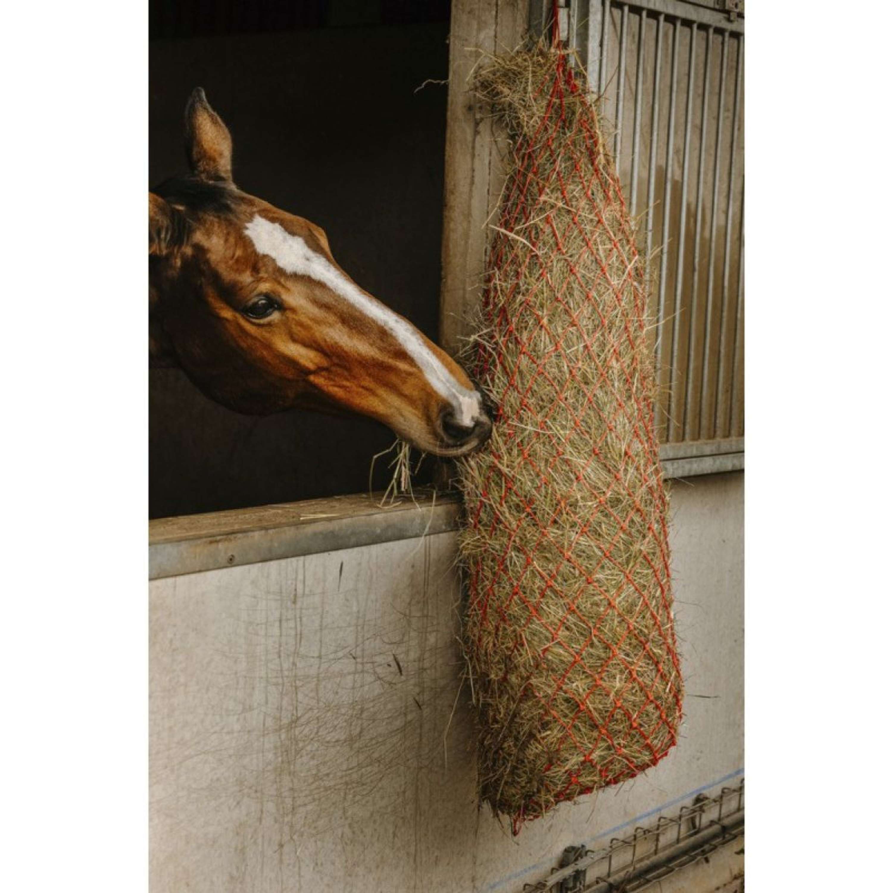 Hippotonic Hay Net Long Red | Agradi.com