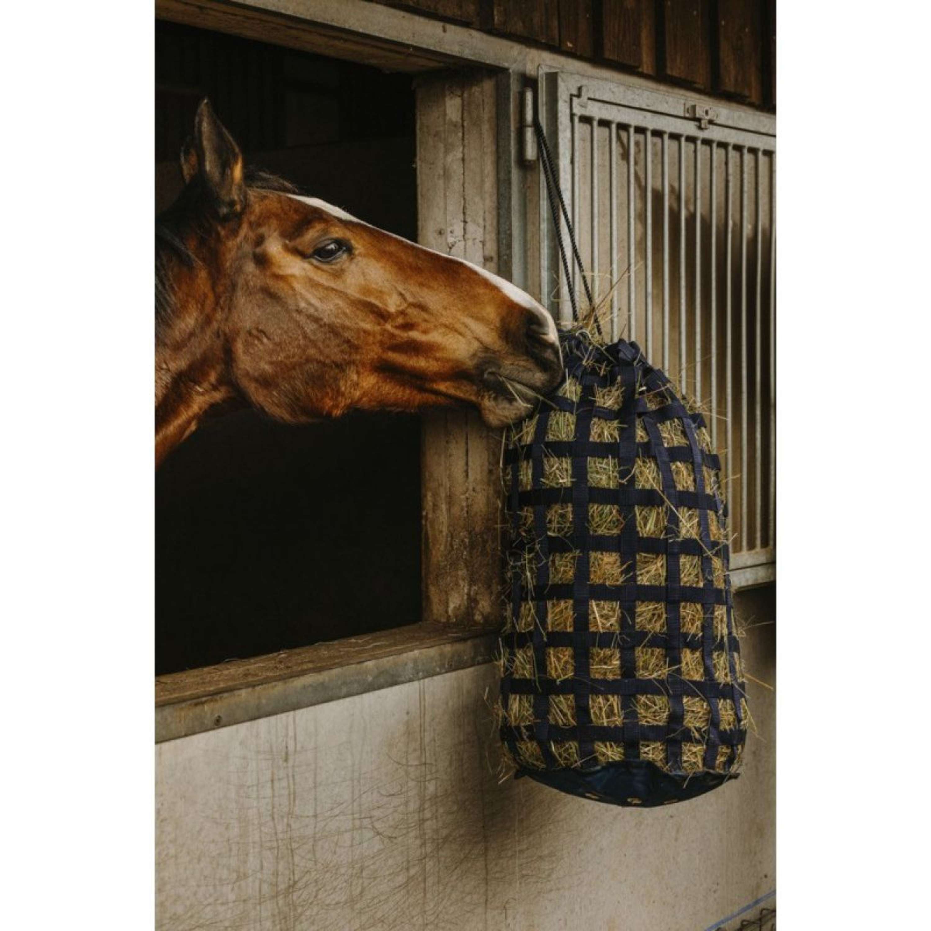 Hippotonic Hay Net Webbing Navy | Agradi.com