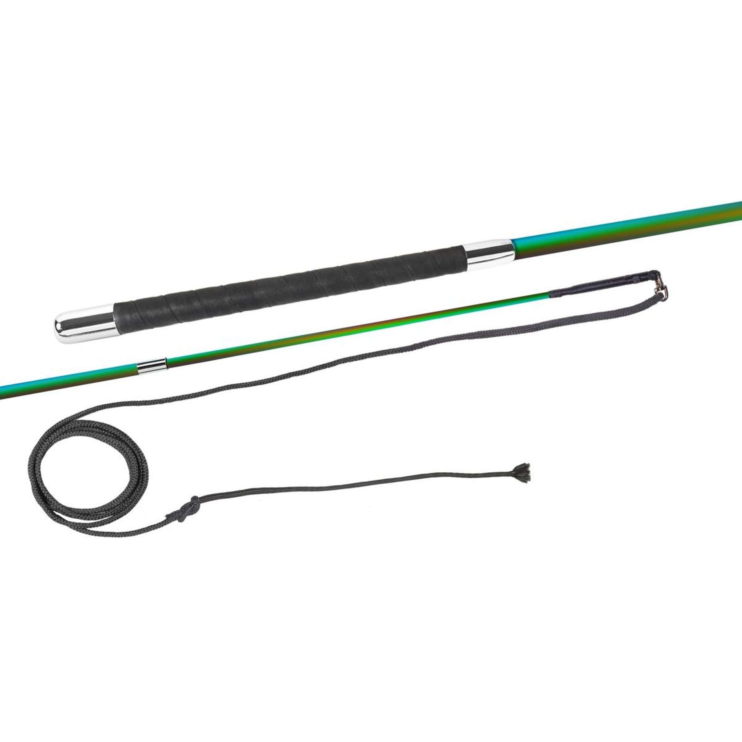 Fleck Lunge Whip Eco-Carbon Seperable Rainbow | Agradi.com