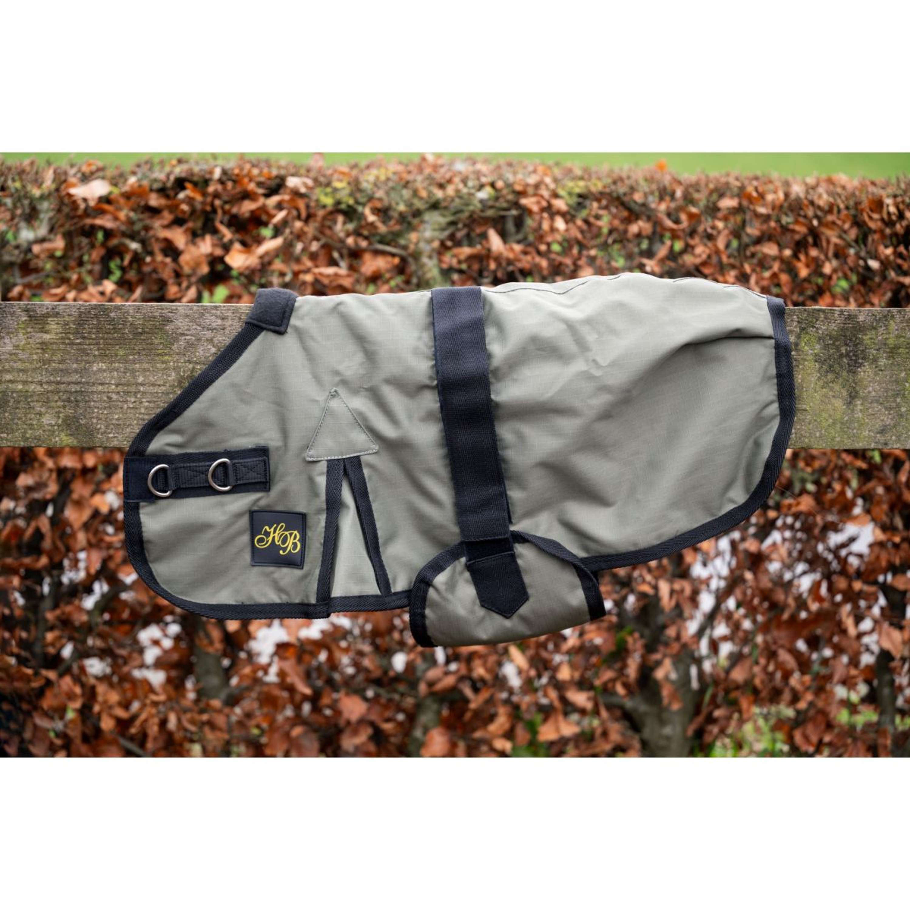 HB Foal Rug Ukki Olive Green | Agradi.com