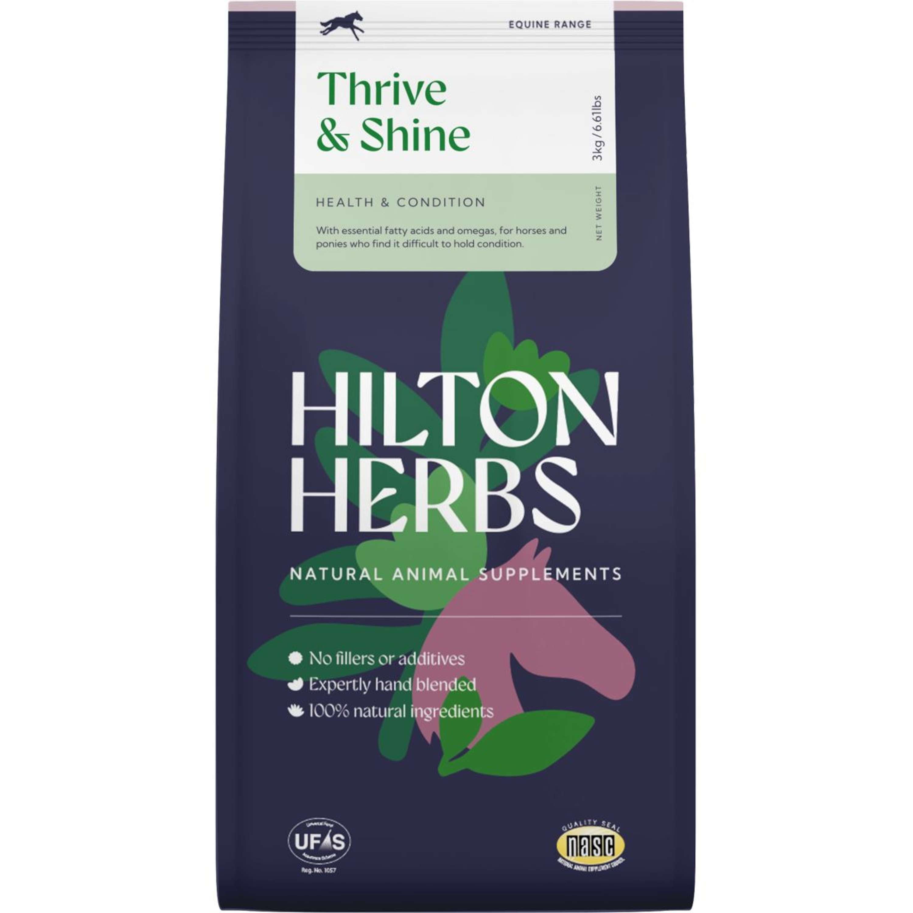 Hilton Thrive & Shine | Agradi.com