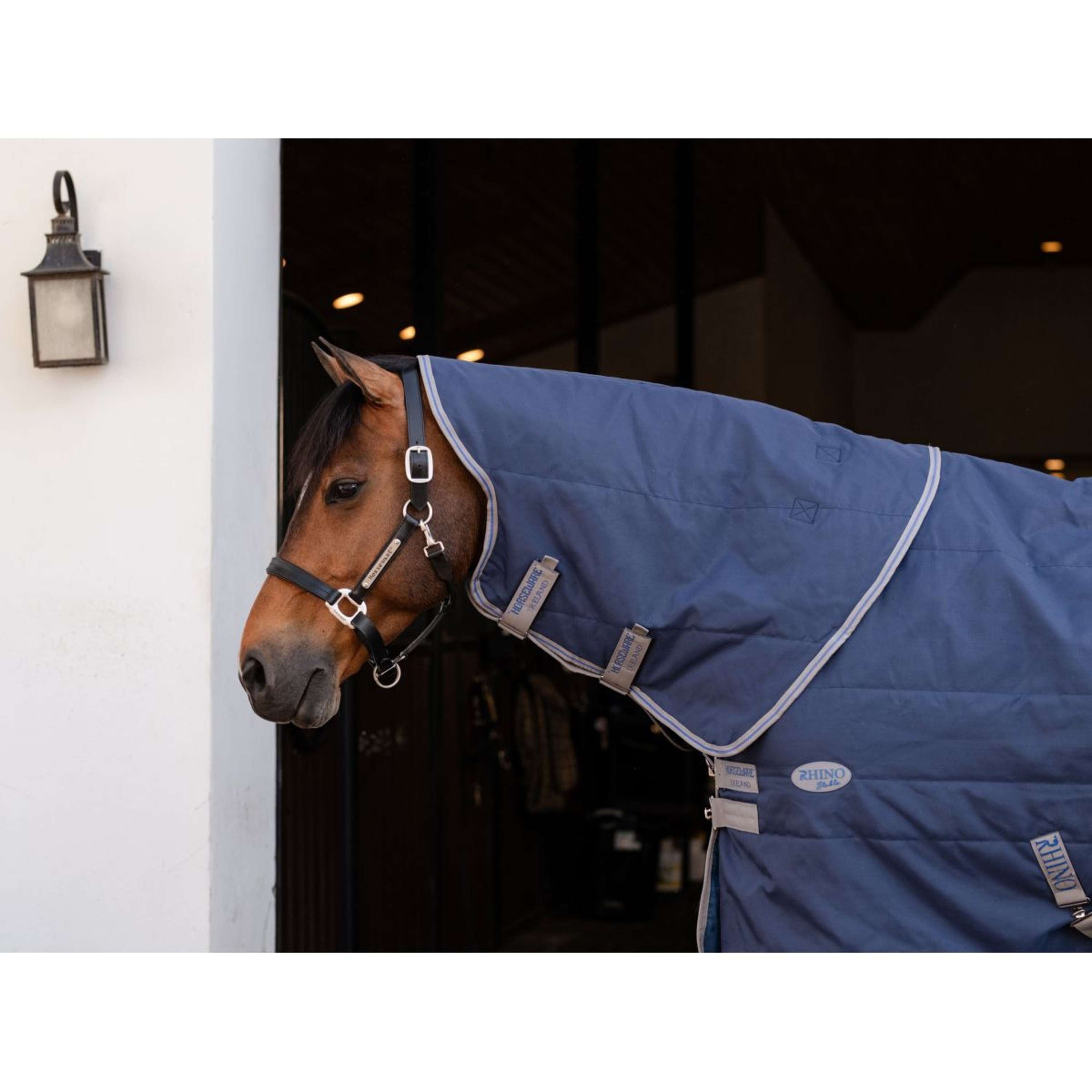 Rhino Neck Cover Stable 200g Navy/Titanium Grey/Classic Blue | Agradi.com