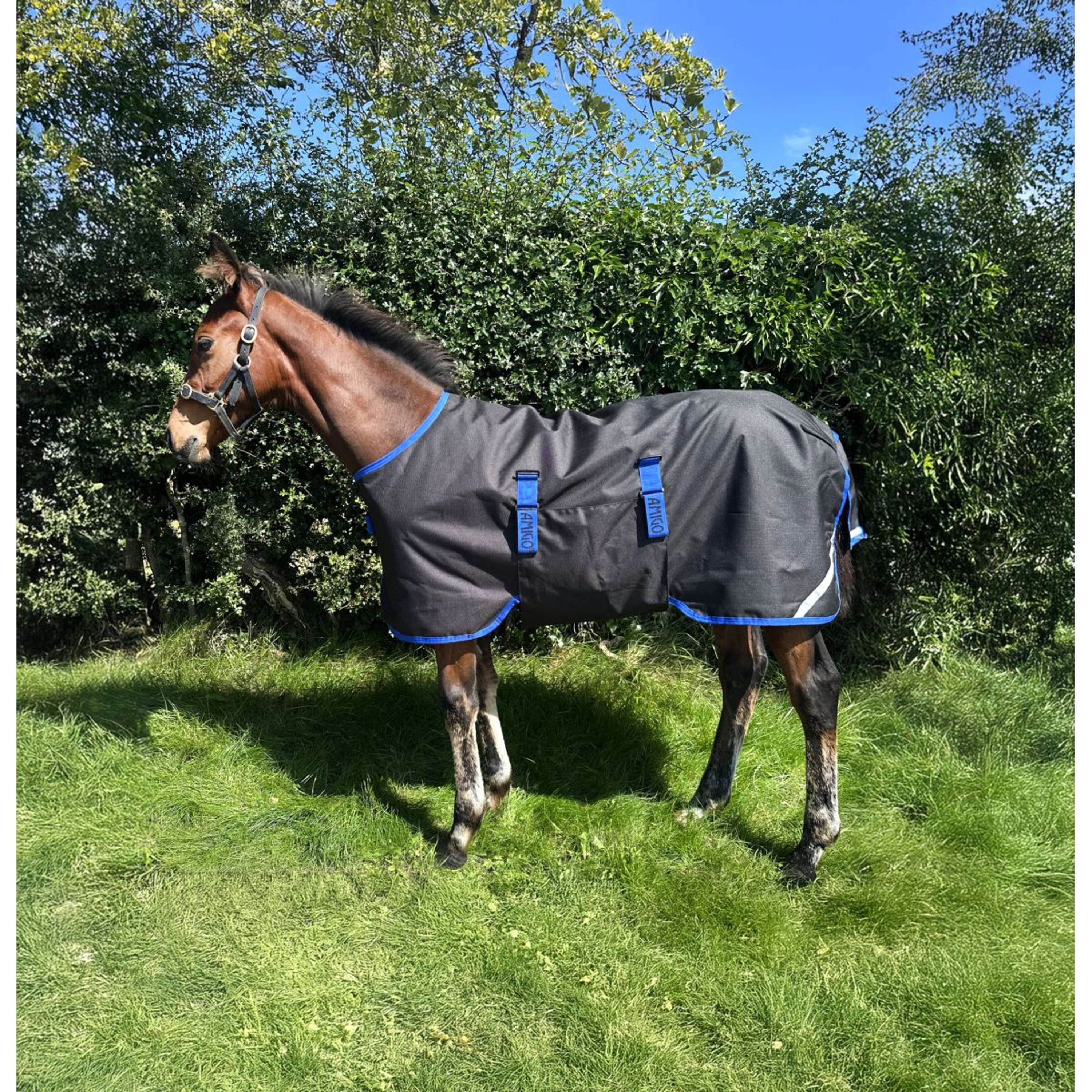 Amigo Foal Rug Ripstop 900D 200g Black/Classic Blue | Agradi.com