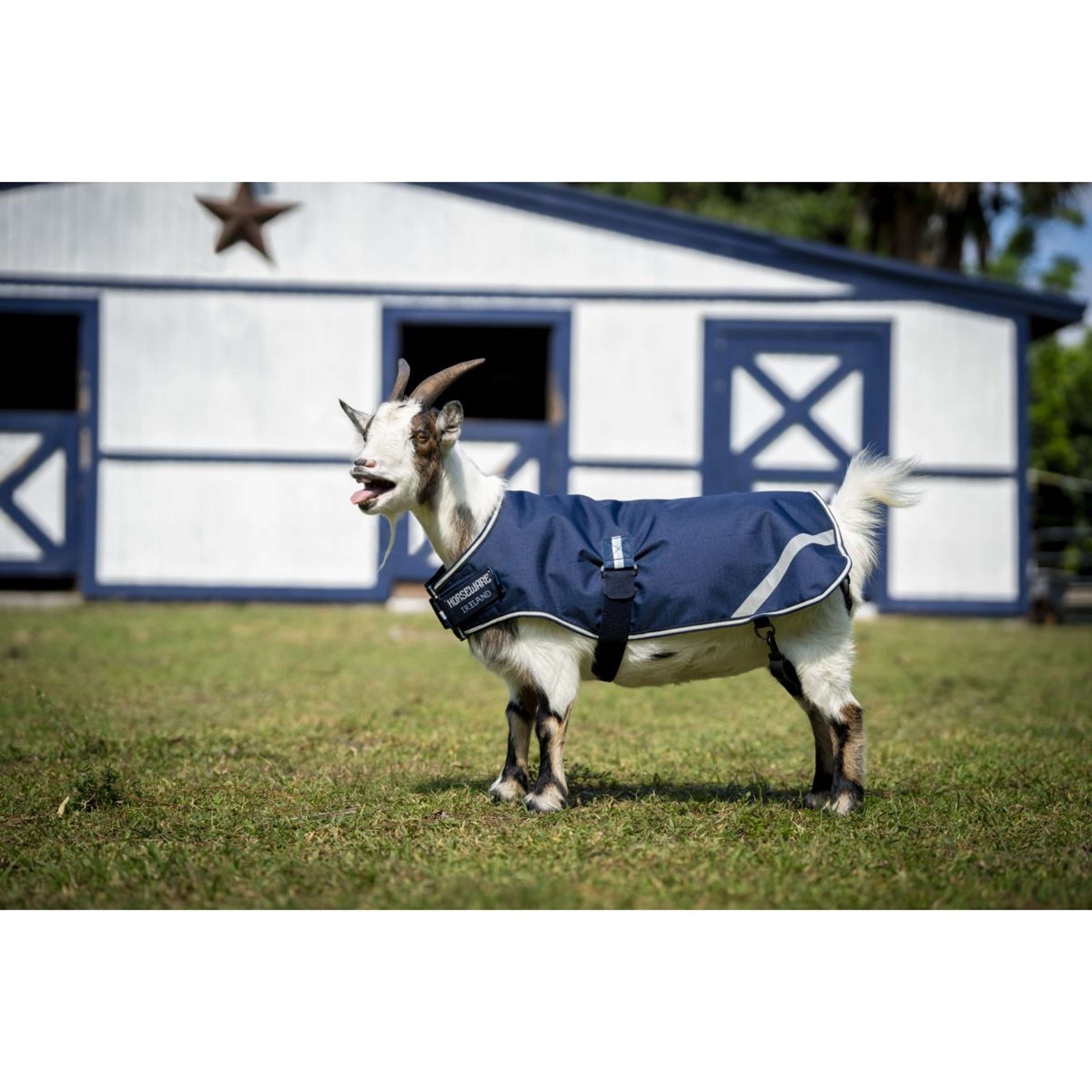 Horseware Goat Coat 0g Witney Navy | Agradi.com